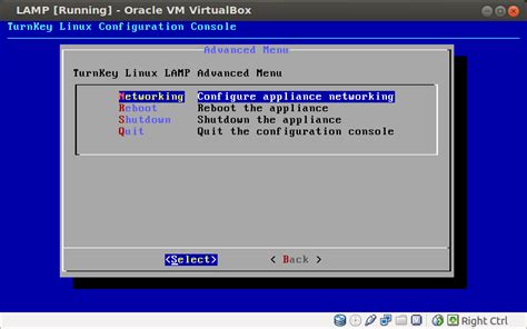 Minimal Lamp Stack For Website Development