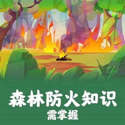 应急科普 森林防灭火常识 你真的了解吗 防火 潮南 火灾