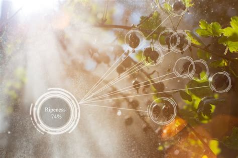 혁신 스마트 농업 농장 시스템 농학자의 인공 지능 사용 프리미엄 사진