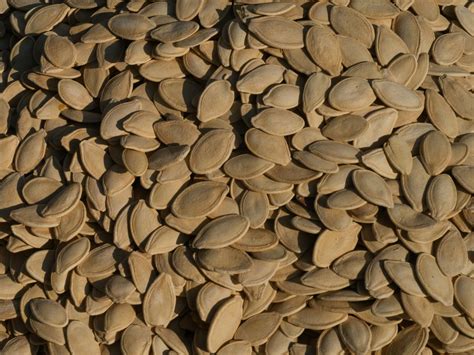 22 Aphrodisiac Foods Boost Your Sex Drive Deliciously Lets Get It