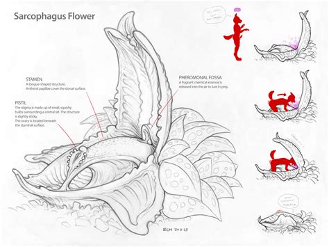 Rule 34 2024 Anthro Carnivorous Plant Directional Arrow Duo Ecmajor