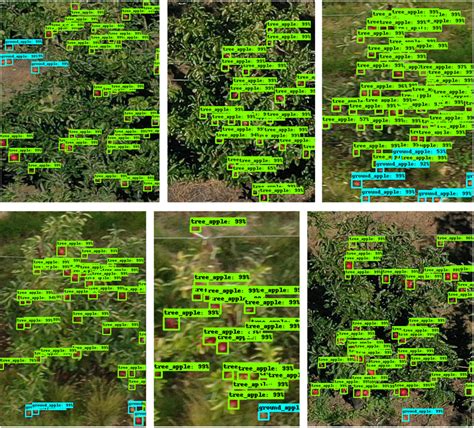 Inference Run On A Sample Of Six Images From The Test Dataset The Two Download Scientific