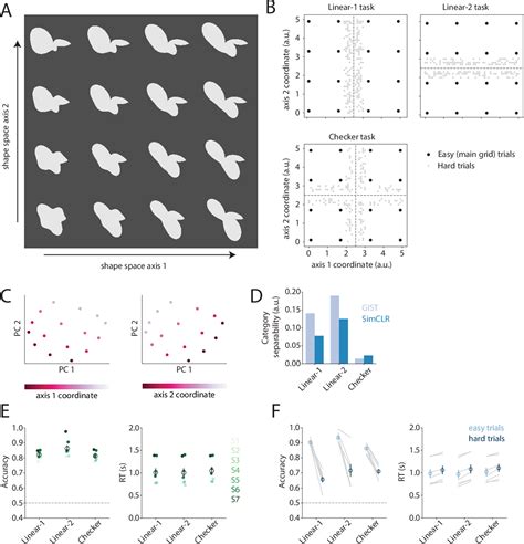 Figure 3 From Categorization Dynamically Alters Representations In Human Visual Cortex