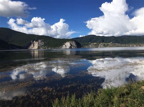 旅途風景迪慶藏族同胞生活的魅力草原 每日頭條