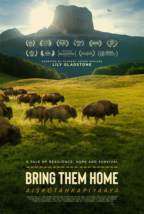 Bring Them Home” A Powerful Film Narrated By Lily Gladstone Celebrates