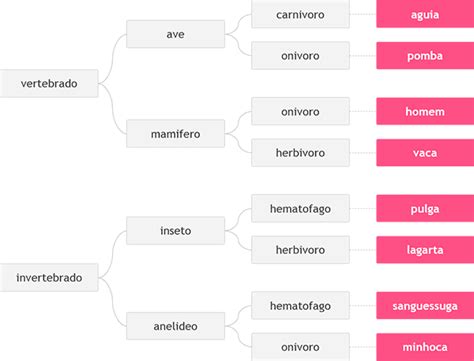 URI BEECROWD BEE Solution In C C Python URI BEECROWD BEE