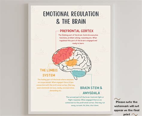 Emotional Regulation And The Brain Printable Poster Brain Etsy