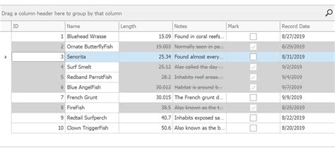 what s new in v19 2 devexpress