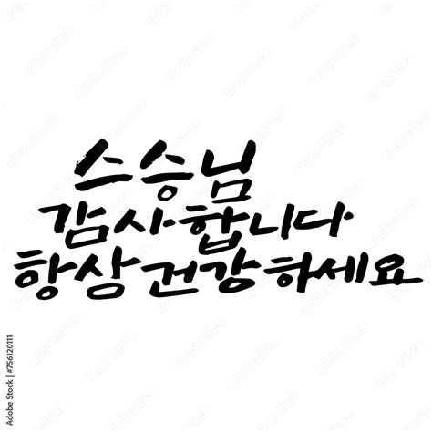 Vetor De 캘리그라피 스승님 감사합니다 항상 건강하세요 손글씨 글씨 감성글귀 타이포 스승의날 선물 감사 카드 선생님 사랑 편지 Do Stock Adobe Stock