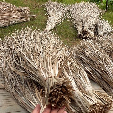 Jual Bahan Anyaman Tikar Pandan Atau Untuk Kerajinan Tradisional Unik