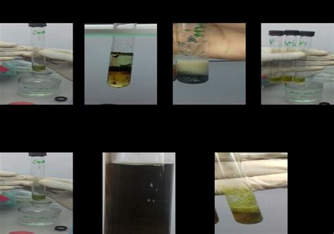 Phytochemical Screening Extract Of N Sativa Leaves Alkaloid Cremish