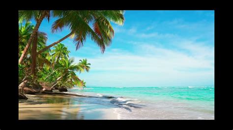 Danieln Summer Love Youtube