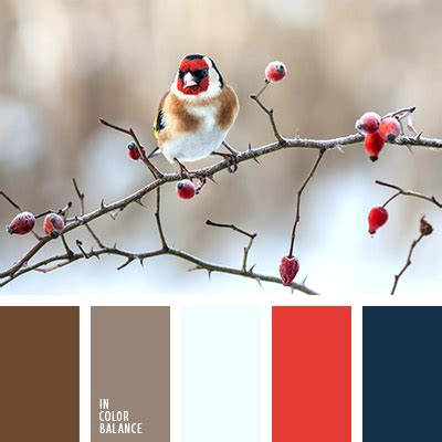 синий и красный | IN COLOR BALANCE | Страница 3