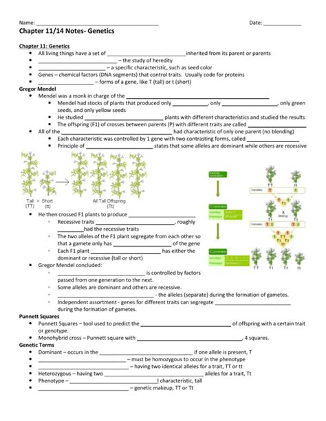genetics notes