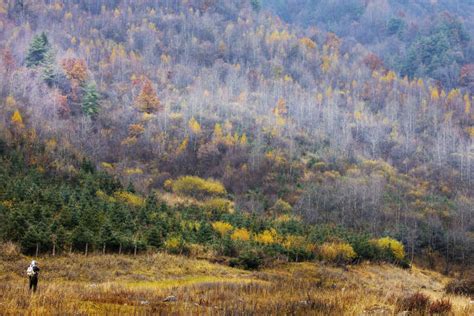 甘肃莲花山花儿对唱 甘肃花儿大全 临洮花儿 第15页 大山谷图库