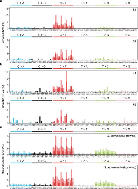 Figures And Data In Somatic Mutation Rates Scale With Time Not Growth Rate In Long Lived