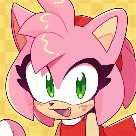 Amy Rose The Hedgehog Fan Art Amy Rose Amy The Hedgehog Sonic And Amy