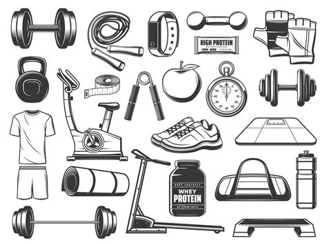 Fitness Sport And Gym Tools Exercise Equipment 23527037 Vector Art At Vecteezy