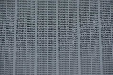 есеј Македонски јазик и литература