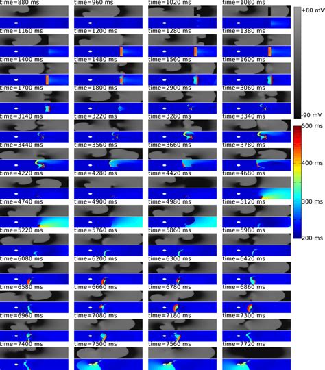 8 Gai In A 2d Medium With Rotational Anisotropy Spiral Wave Dynamics