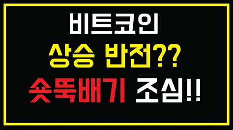 비트코인 상승 반전 숏뚝배기 조심 Youtube