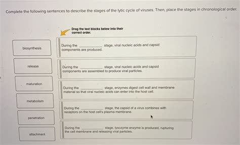 Solved Complete The Following Sentences To Describe The