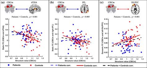 Reduction In Structural‐functional Relationships Between Cerebellum And