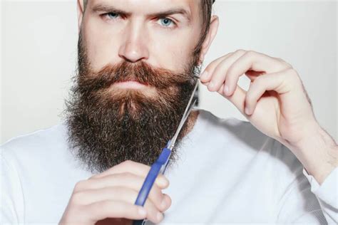 Beard Split Ends 8 Causes And How To Stop Them Beardesy