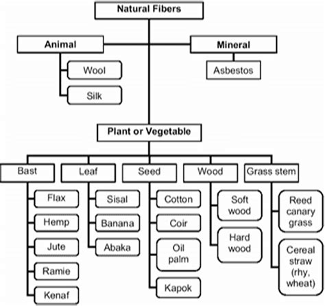 Classification Of Fibers