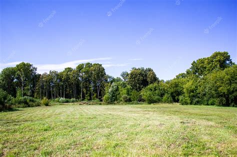 Premium Photo Plot With A Lawn In The Forest Plot Prepared For Sale