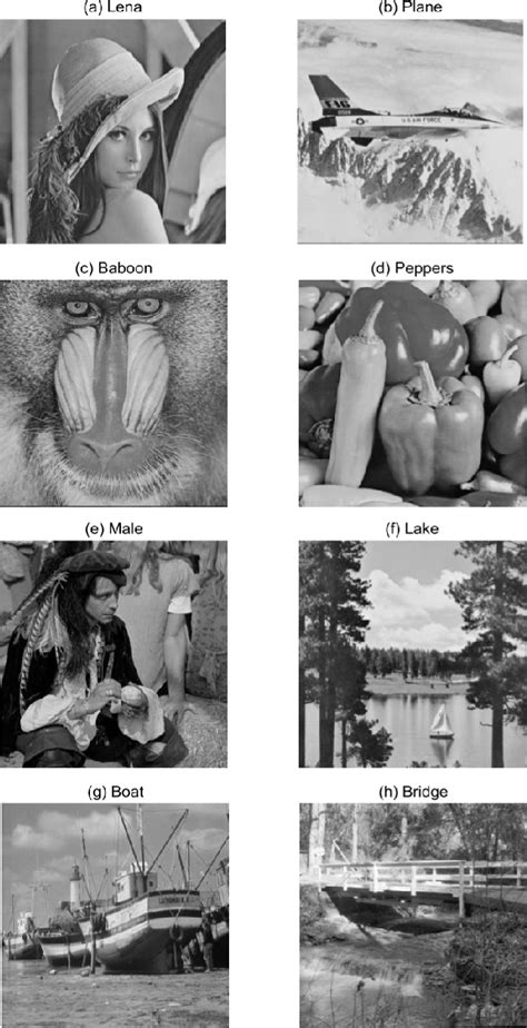 Table 1 From Bee Foraging Algorithm Based Multi Level Thresholding For Image Segmentation