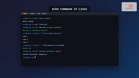 Sh Command Linux Complete Guide To Shell Script Execution And Commands