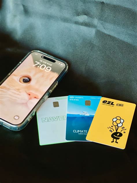 애플페이 티머니 교통카드 등록 방법 완전정복 아이폰 애플워치 네이버 블로그