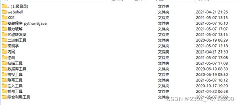 ctf工具箱 fancypig CSDN博客