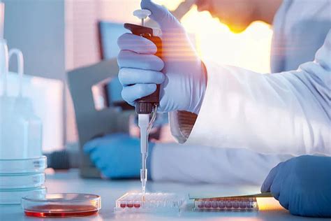 器官芯片技术革新：在药物毒性评估中的应用与前景 海龟派