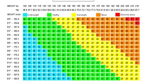 Bmi Index Male Chart Index Choices B0d