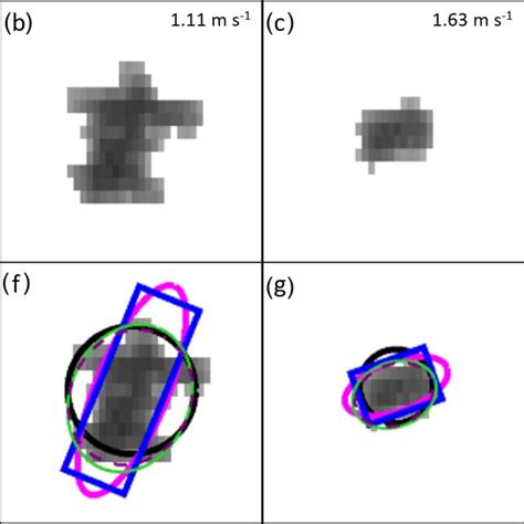 Snapshots Of Four Particles As Viewed By Pip Displayed A D Without Download Scientific