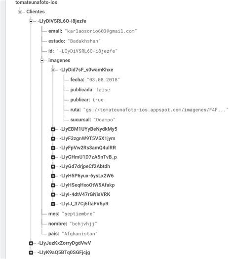 Ios Consulta En Firebase Database Qué Tipo De Dato Retorna Un Campo