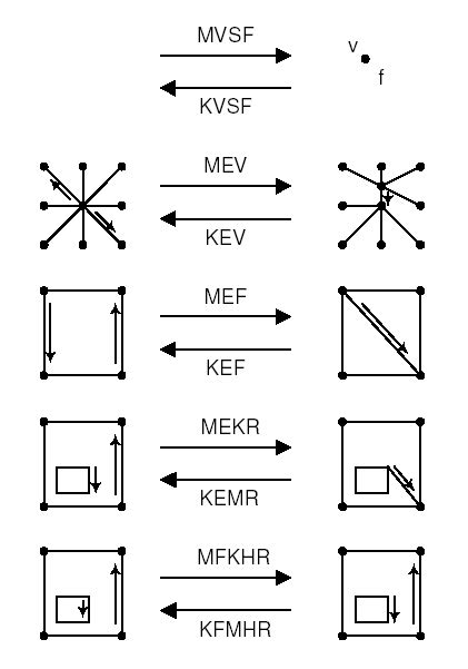 Planar Diagrams Of Euler Operators Download Scientific Diagram