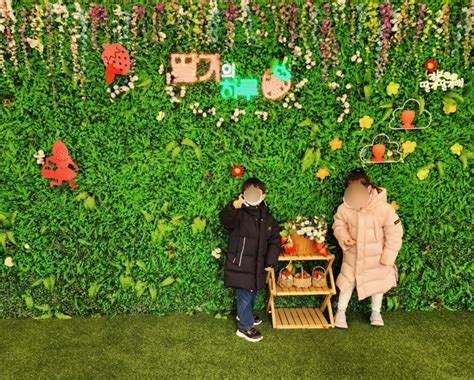 아이들이 좋아하는 인천 딸기농장 체험 딸기의 하루 네이버 블로그