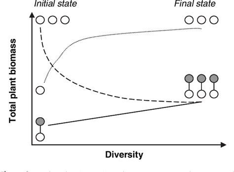 Figure 2 From The Functional Role Of Biodiversity In Ecosystems