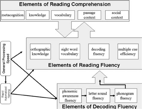 Conceptual Model Of Reading Fluency Download Scientific Diagram