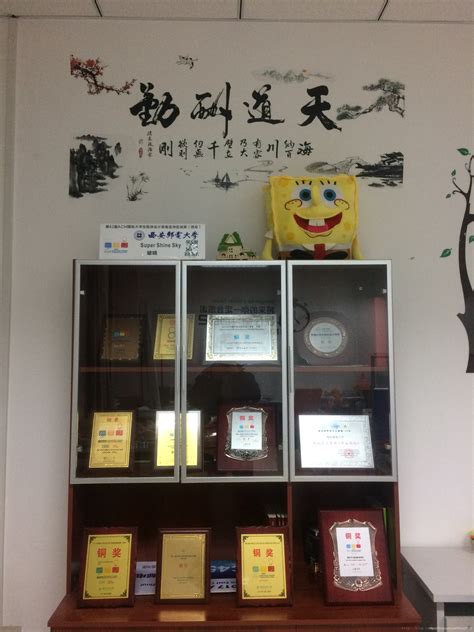 励志用 acm icpc ccpc 个人经历总结 楚东方（转） icpc铜牌什么水平 csdn博客