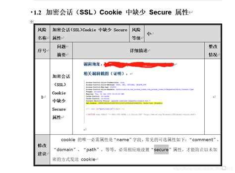 加密会话（ssl）cookie中缺少secure属性解决方案 加密会话 ssl cookie 中缺少 secure 属性 csdn博客