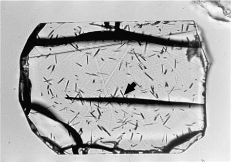 A Transmission Electron Microscope Images Of An Unetched Fission Download Scientific Diagram