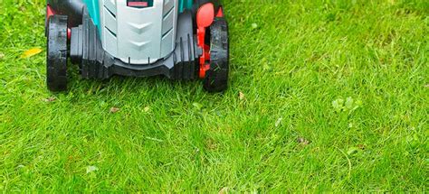 Can You Efficiently Strim Wet Grass Explained By Fantastic