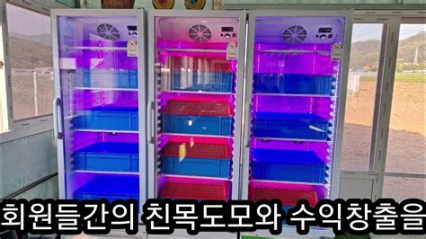 농원에 납품한 새싹인삼재배기 Ht2900 Youtube