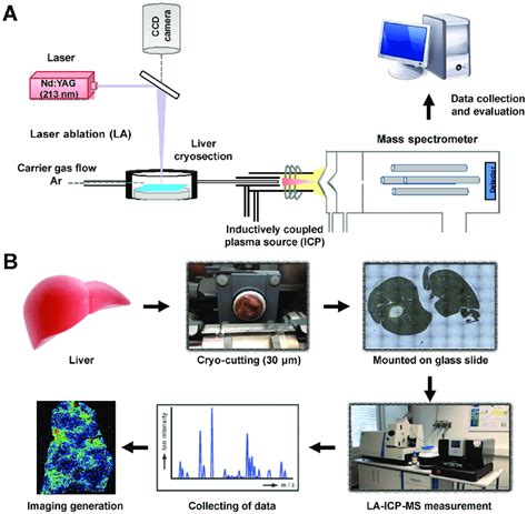 Ablacao A Laser Icp Ms