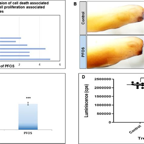 Perfluorooctanesulfonate Pfos Exposure Increased Cell Death And Download Scientific Diagram
