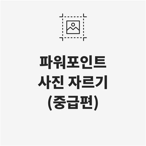 [ppt 만들기] 파워포인트 도형 모양으로 사진 자르기 원 둥근사각형 등 네이버 블로그